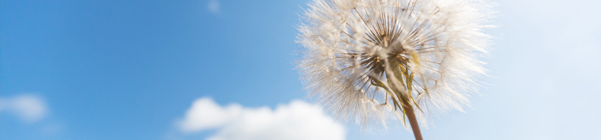 AIVC | Air Infiltration and Ventilation Centre